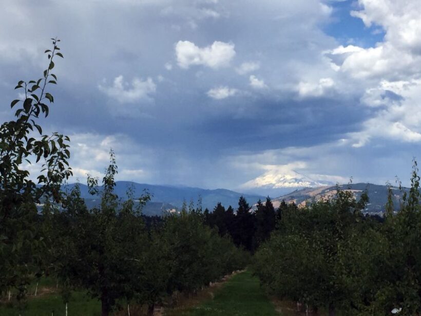 From Portland: Mt Hood, Hood River Valley and Columbia Gorge - Lunch and Downtown Hood River