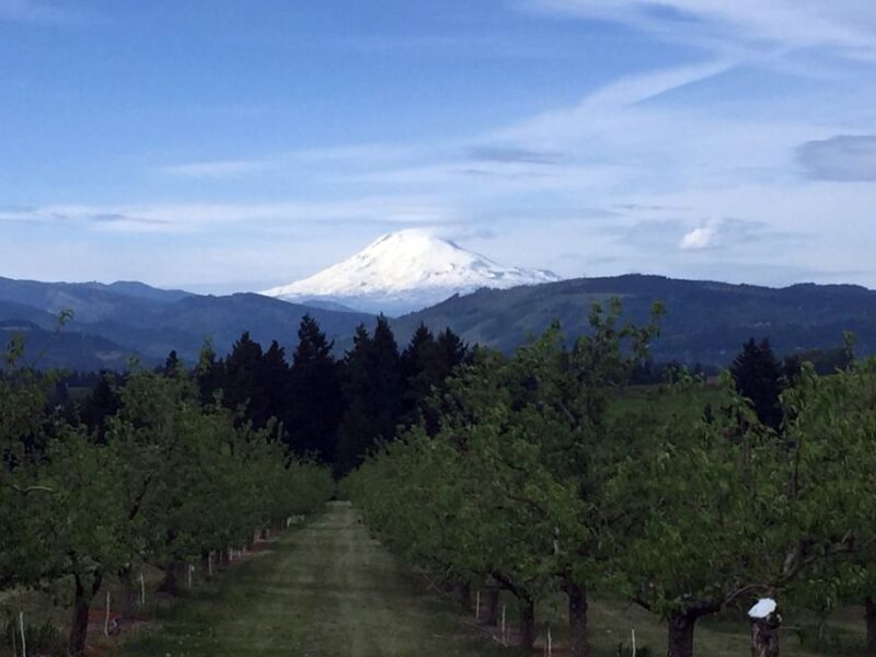 From Portland: Mt Hood, Hood River Valley and Columbia Gorge - FAQ