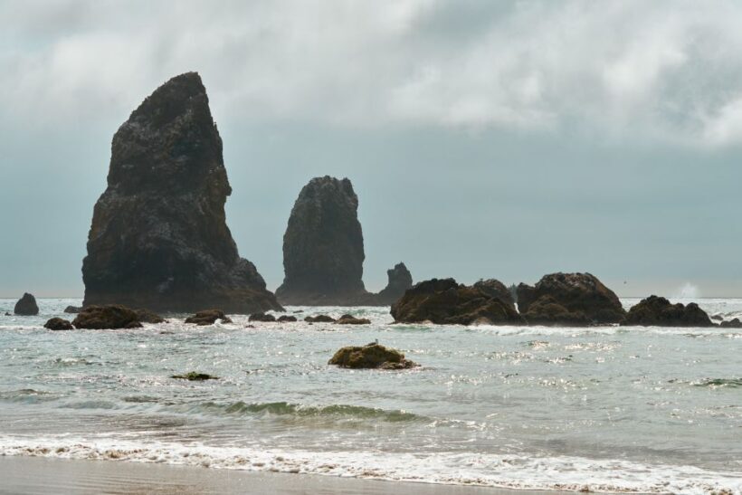 From Portland: Oregon Coast Day Trip Cannon Beach Area - The Value of the Tour