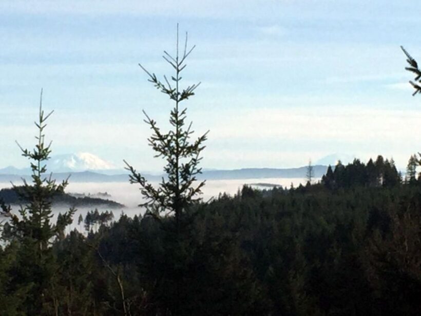 From Portland: Oregon Coast Day Trip Cannon Beach Area - Who Will Love This Tour?