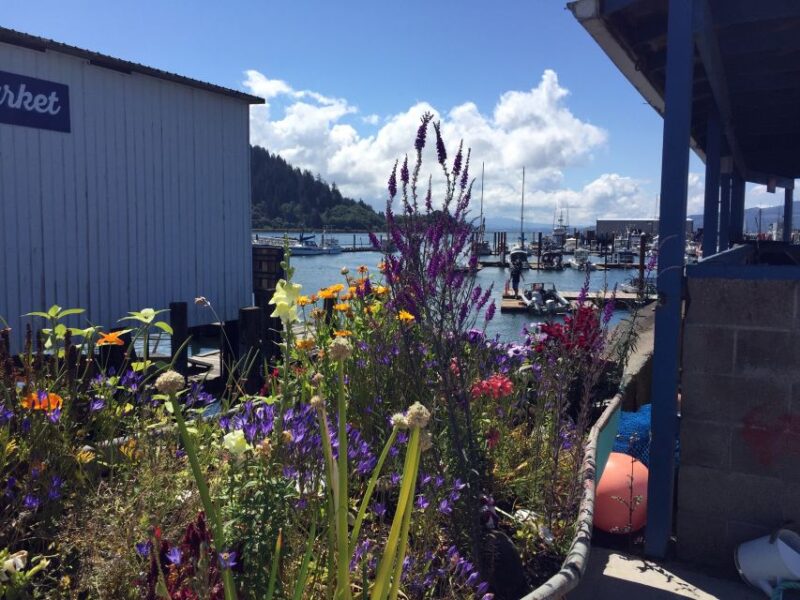 From Portland: Oregon Coast Day Trip Cannon Beach Area - Who Would Enjoy This Tour?