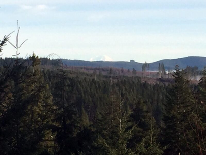 From Portland: Oregon Coast Day Trip Cannon Beach Area - The Sum Up