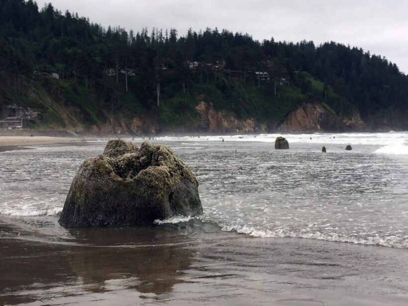 From Portland: Oregon Coast Day Trip to Three Capes Loop - An In-Depth Look at the Oregon Coast Day Trip