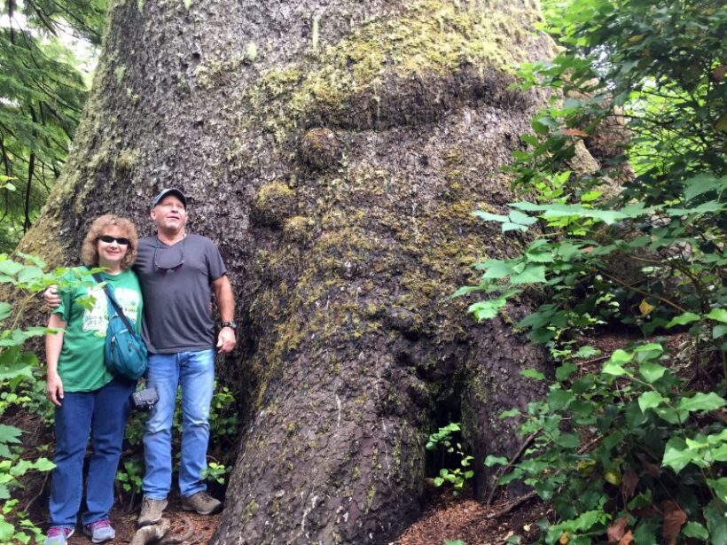 From Portland: Oregon Coast Day Trip to Three Capes Loop - Frequently Asked Questions