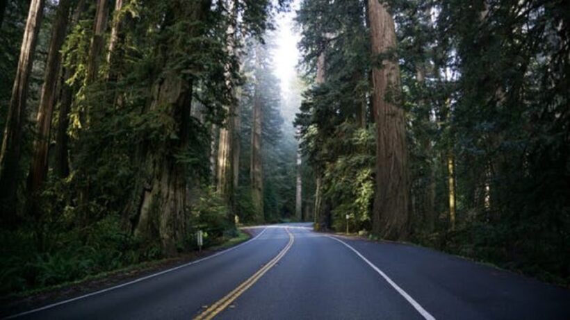 From Portland: Oregon Coast Tour - Exploring the Oregon Coast from Portland: An In-Depth Look