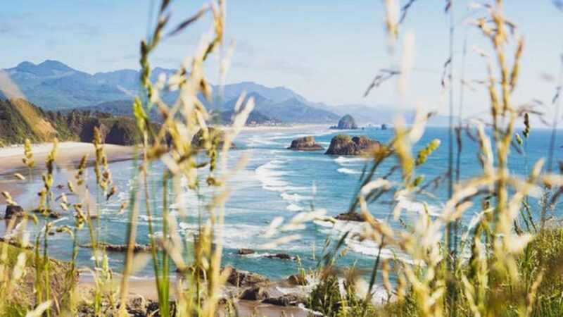 From Portland: Oregon Coast Tour - Who Should Consider This Tour?