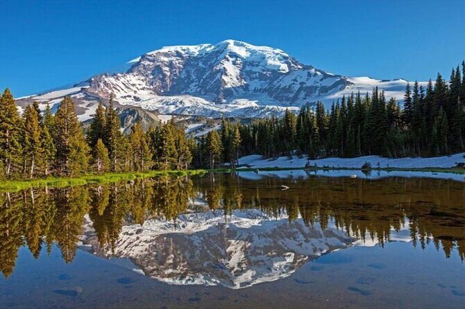 From Portland to Mt. Rainier Tour in a Small Group - Key Points