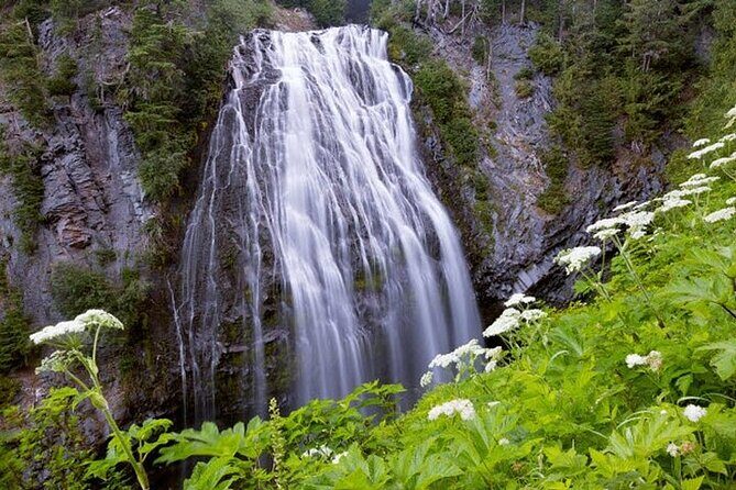From Portland to Mt. Rainier Tour in a Small Group - What’s Included and What’s Not