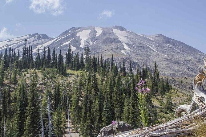 From Portland to Mt. Saint Helen Tour in a Small Group - A Complete Breakdown of the Tour