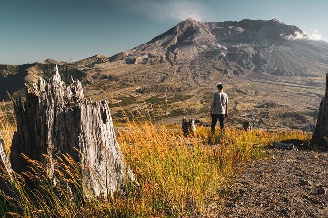 From Portland to Mt. Saint Helen Tour in a small group - Who Will Appreciate This Tour?
