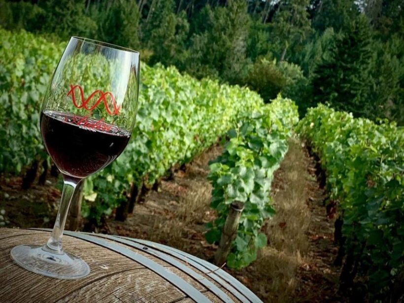From Portland: Waterfalls, Mt Hood, and Wine Day Tour - FAQ