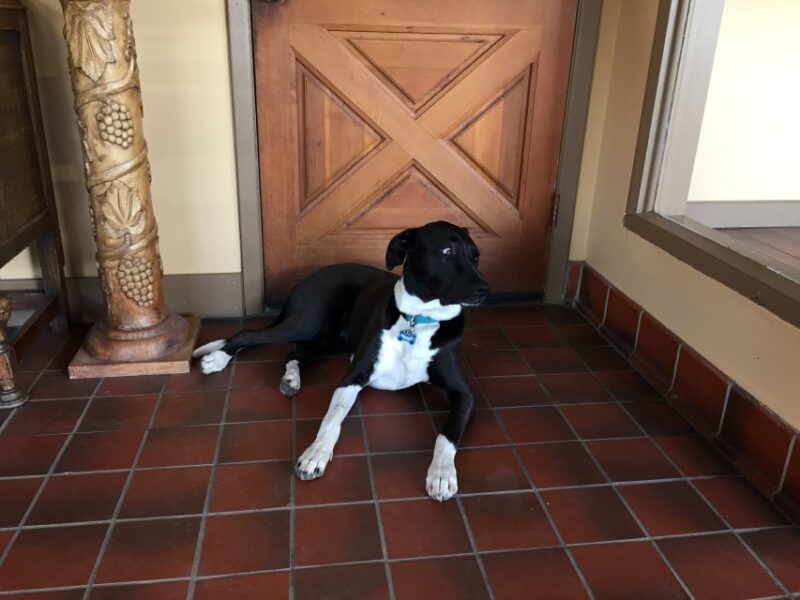 From Portland: Willamette Valley Character Wineries - An In-Depth Look at the Willamette Valley Character Wineries Tour