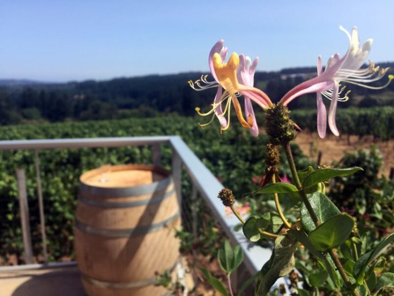 From Portland: Willamette Valley Character Wineries - The Sum Up