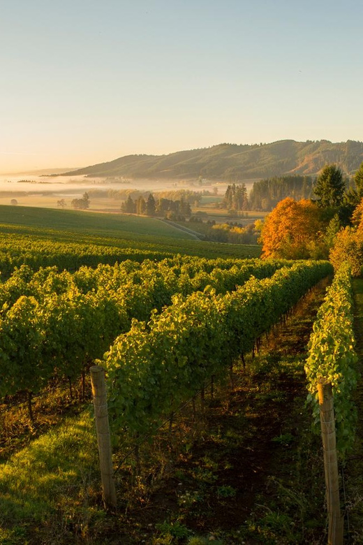 From Portland: Willamette Valley Wine Tasting Tour - FAQ