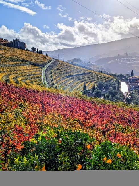 From Porto: 2 Wine Regions, Farm-to-Table Lunch & Boat - Practical Tips for Travelers