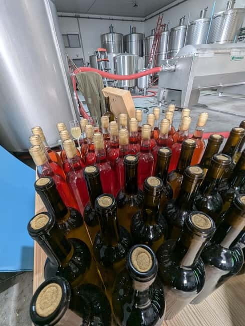 From Porto: 2 Wine Regions, Farm-to-Table Lunch & Boat - FAQ