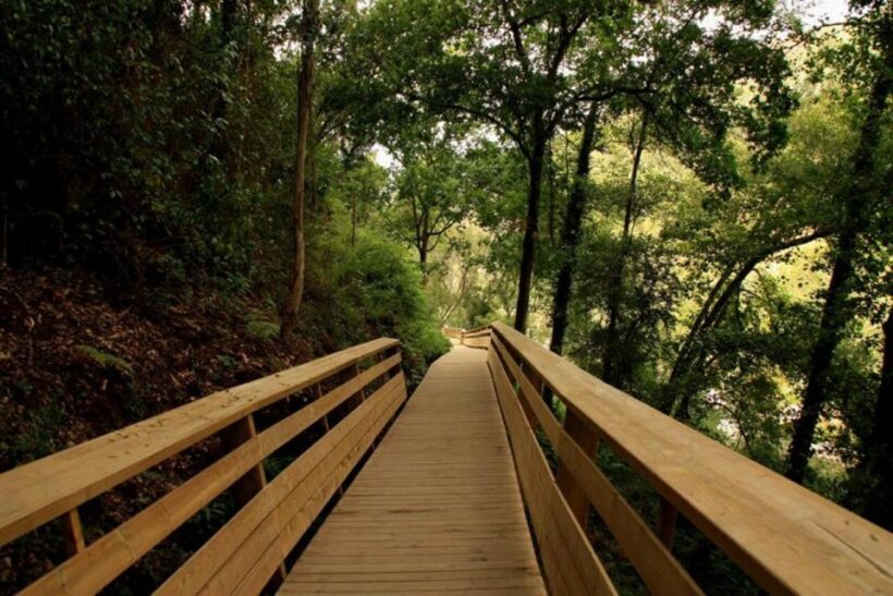 From Porto: 516 Arouca Bridge and Paiva Walkways Guided Tour - The Sum Up