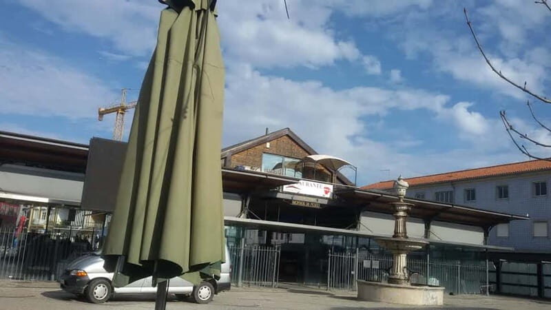 From Porto: Aveiro & Coimbra Tour with Moliceiro Boat Cruise - Introduction