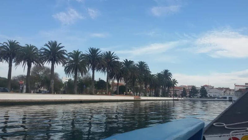 From Porto: Aveiro & Coimbra Tour with Moliceiro Boat Cruise - Final Thoughts