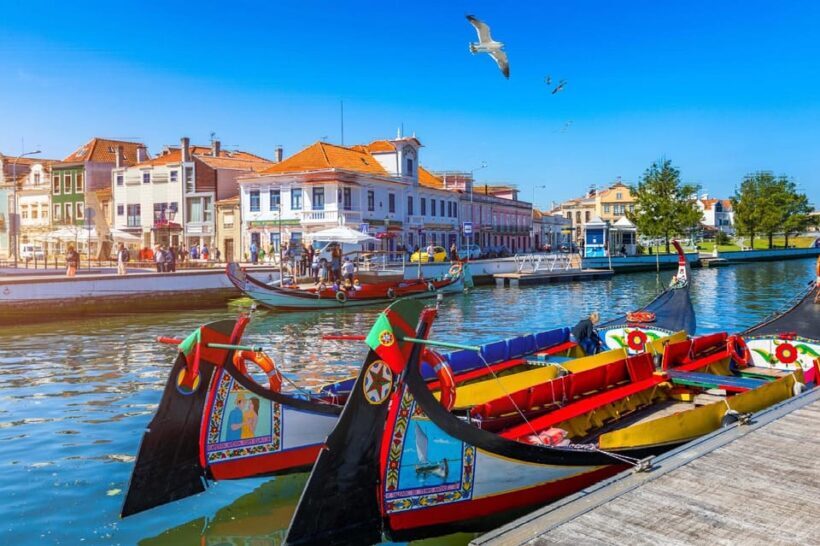 From Porto: Aveiro Half Day Tour - What Makes This Tour Stand Out