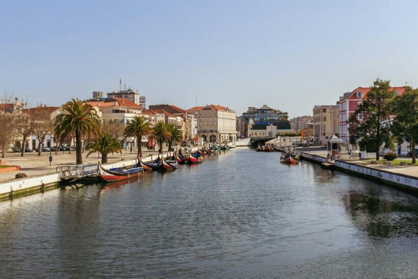 From Porto: Aveiro Half Day Tour - Authentic Experiences and Traveler Feedback