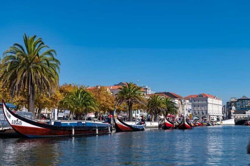From Porto: Coimbra, Aveiro and Costa Nova Day Tour - Transport and Group Size