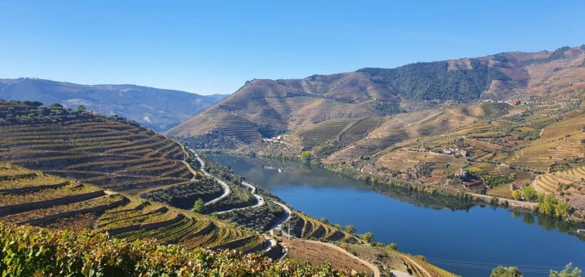 From Porto Day Douro Valley Wine Tour 2 Wine Tasting & Lunch - Who Will Love This Tour?