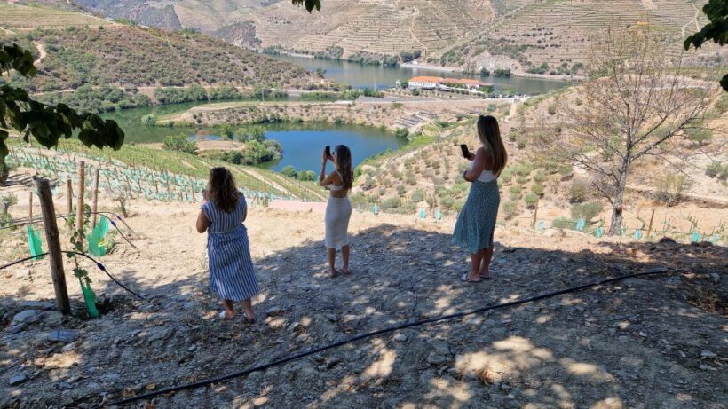 From Porto Day Douro Valley Wine Tour 2 Wineries & Lunch - A Closer Look at the Itinerary
