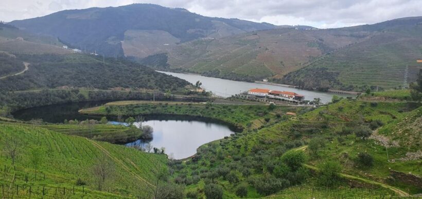 From Porto Day Douro Valley Wine Tour 2 Wineries & Lunch - Analyzing the Value