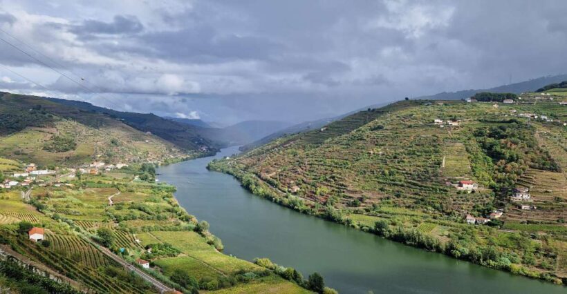 From Porto Day Douro Valley Wine Tour 2 Wineries & Lunch - Who Should Consider This Tour?