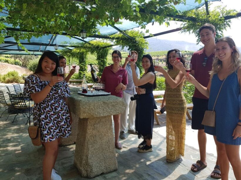 From Porto: Douro Valley 3 Vineyards Tour with Lunch - An In-Depth Look at the Douro Valley Tour