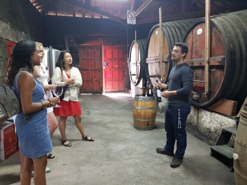 From Porto: Douro Valley 3 Vineyards Tour with Lunch - Who Will Enjoy This Tour?