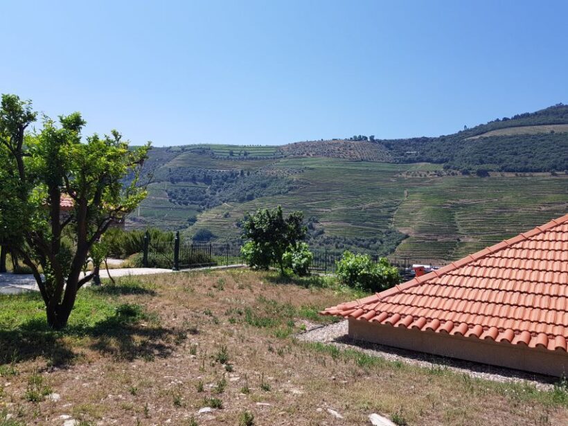 From Porto: Douro Valley 3 Vineyards Tour with Lunch - Final Thoughts