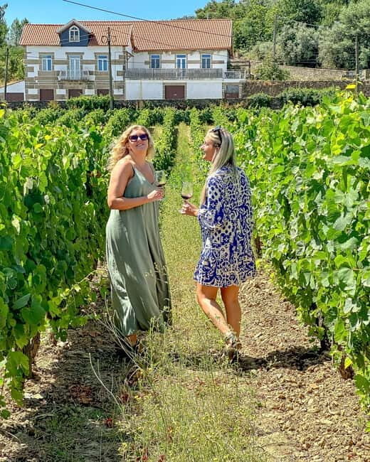 From Porto: Douro Valley Private Tour w/ 3 Wineries & Lunch - The Itinerary in Detail: What to Expect on the Day