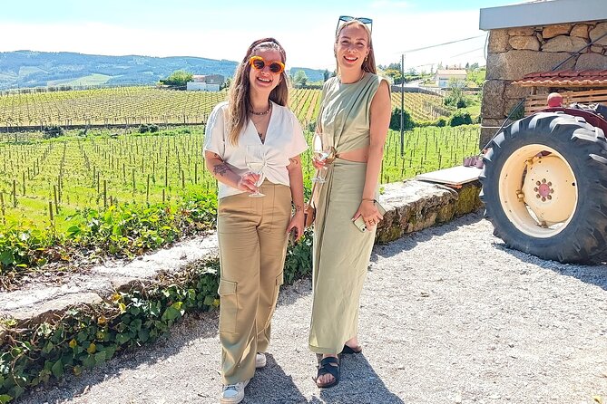 From Porto: Douro Valley Tour With 2 Wineries, Lunch and Cruise - Customer Reviews and Feedback
