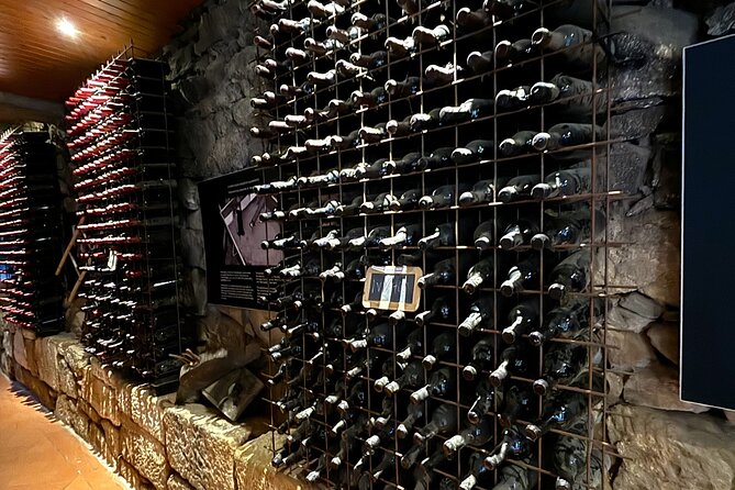 From Porto: Douro Valley Tour With 2 Wineries, Lunch and Cruise - Cruising the Serene Douro River