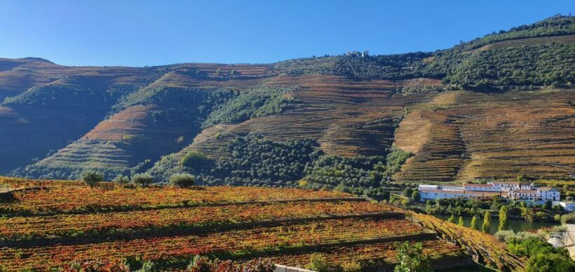 From Porto Douro Valley Tour with Train and Vinho Verde - Who Will Love This Tour?