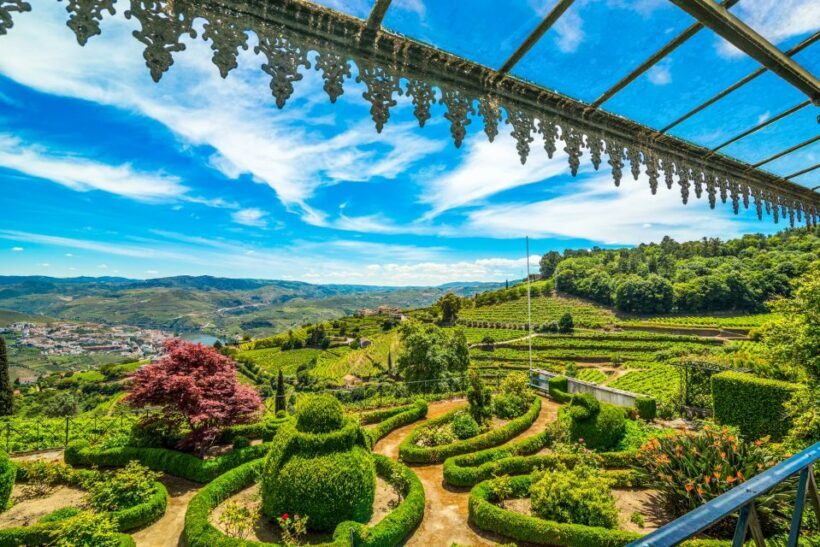 From Porto: Douro Valley w/ Boat Tour, Wine Tasting & Lunch - Who Should Consider This Tour?