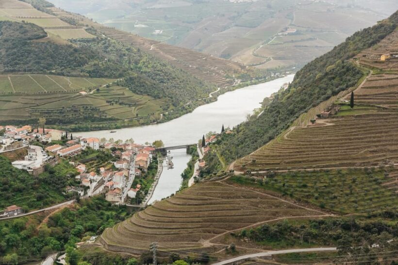 From Porto: Douro Valley Wine Tour with Lunch and Cruise - Who Would Enjoy This Tour Most?