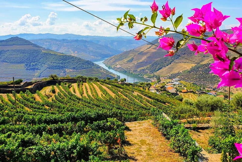 From Porto: Douro Valley with Wineries, Lunch and Boat Trip - Introduction