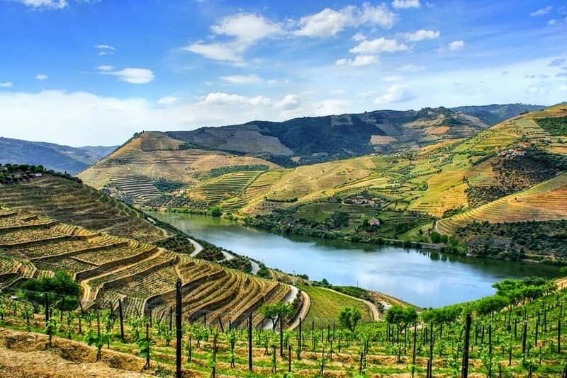 From Porto: Douro Valley with Wineries, Lunch and Boat Trip - Exploring the Essentials of the Douro Valley Tour