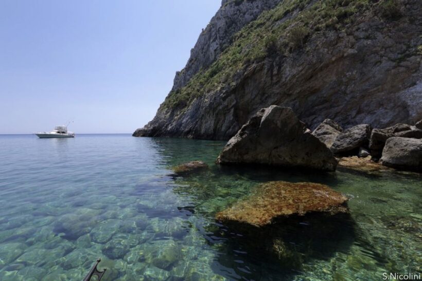 From Porto Ercole: Giannutri Island Snorkeling Boat Trip - Who Will Love This Tour?