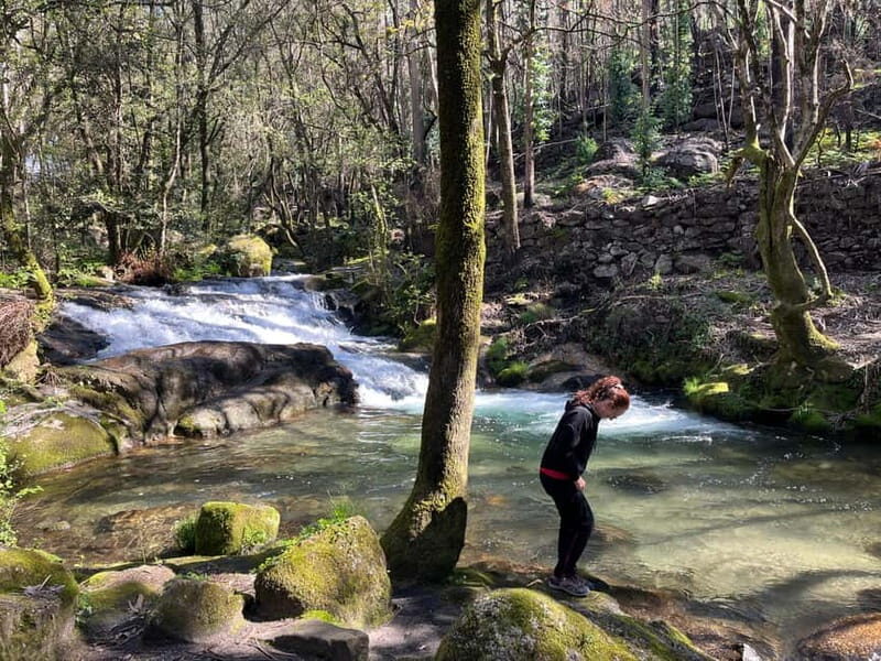 From Porto: Forest Waterfalls & Roman Ruins Trail Tour - Key Points