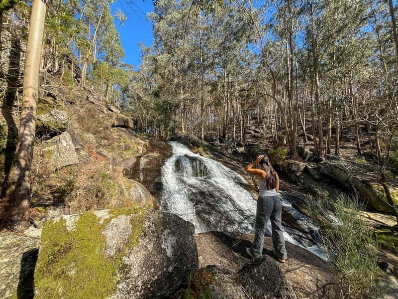 From Porto: Forest Waterfalls & Roman Ruins Trail Tour - Detailed Breakdown of Highlights