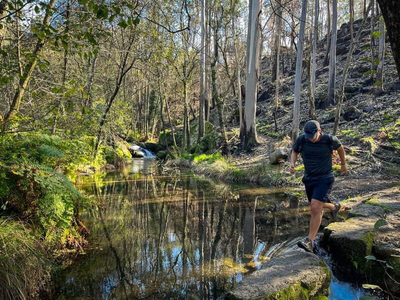 From Porto: Forest Waterfalls & Roman Ruins Trail Tour - The Sum Up: Who Is This Tour Best For?