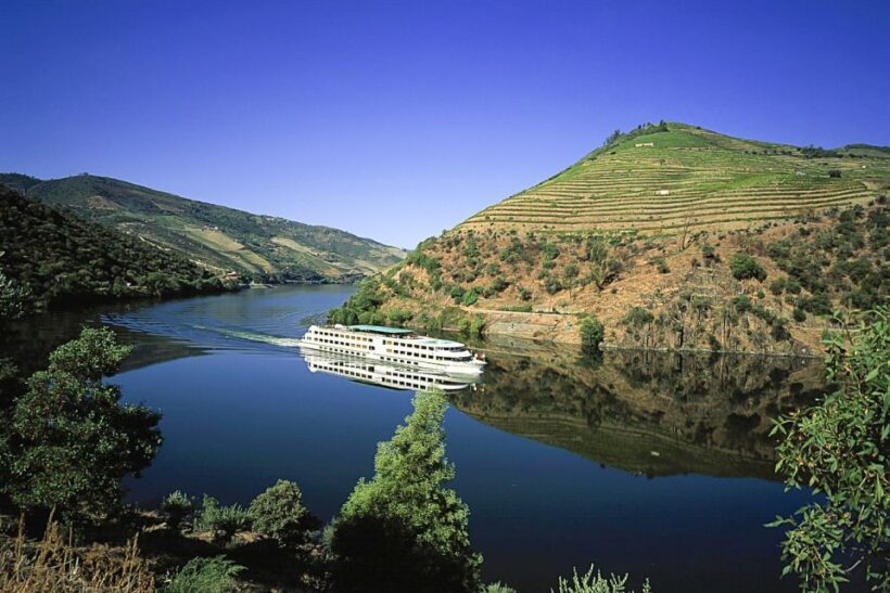 From Porto: Full-Day Douro Historical Tour - What Makes This Tour Stand Out?