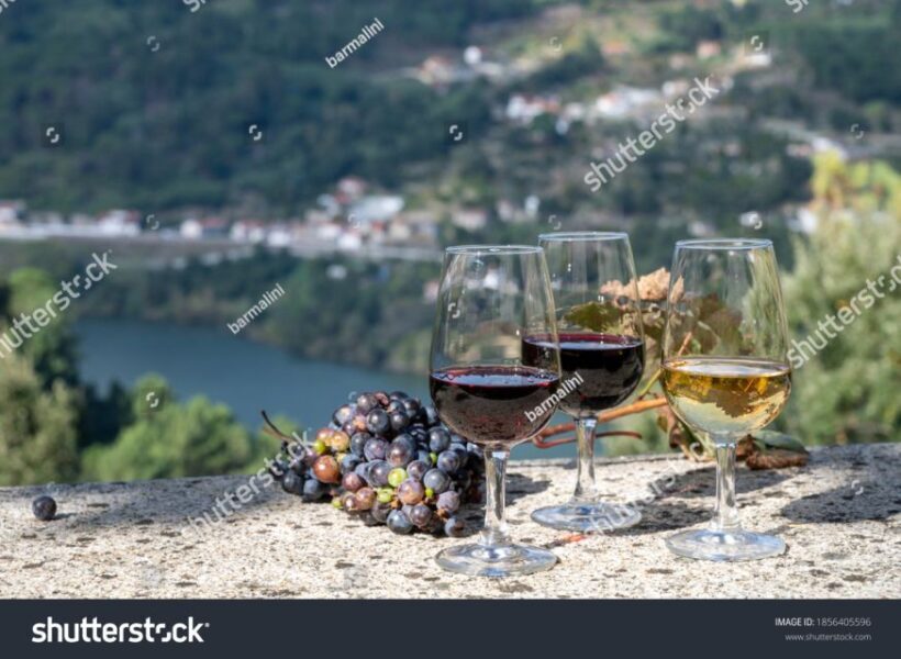 From Porto: Full-Day Douro Historical Tour - Authentic Experiences and Guest Reviews