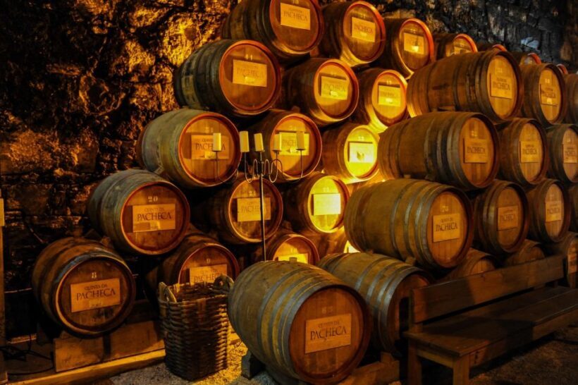 From Porto: Full-Day Douro Valley Trip - The Sum Up