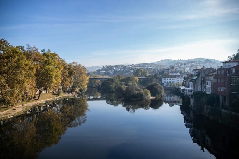 From Porto: Full-Day Douro Valley & Wine Tour with Lunch - Who is This Tour Best For?