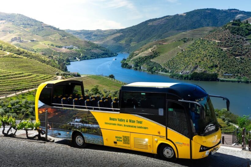 From Porto: Full-Day Douro Valley & Wine Tour with Lunch - The Sum Up